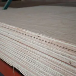 3/4″ Birch B2 White Whole Piece Face Fir Core – Horizon Forest Products